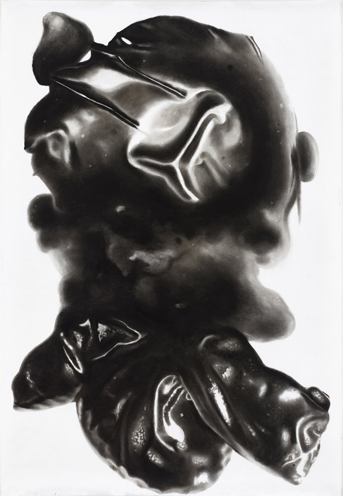 Schwarz wie die Nacht und brillant wie ein Foto - boesnerKunstportal