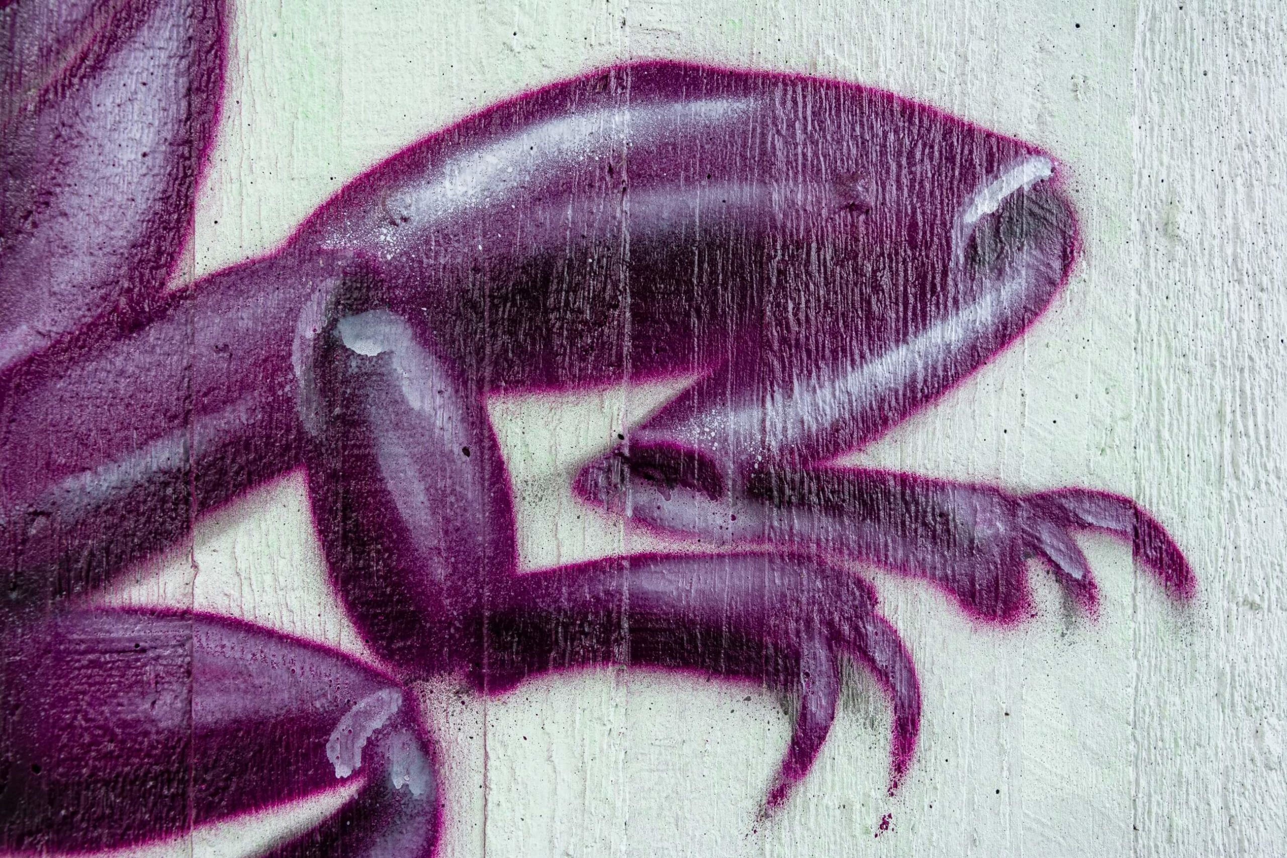 Sprühende Leidenschaft - boesnerKunstportal