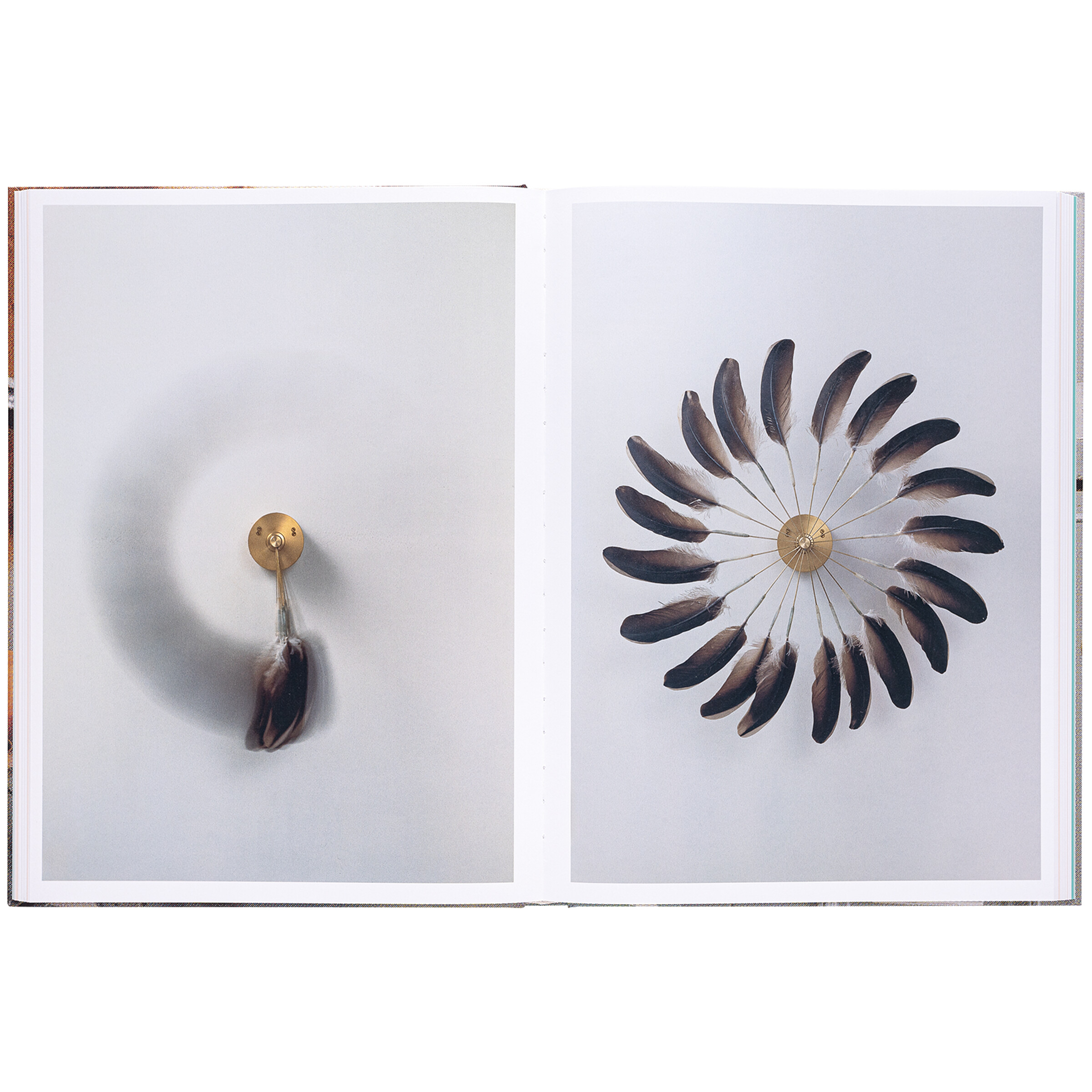 Hatje Cantz Verlag Rebecca Horn | Künstlerbedarf von boesner ...